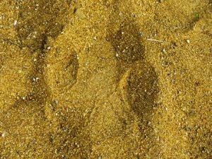 Rhino tracking by foot at Otjiwa Lodge Namibia – Where To Stay South ...